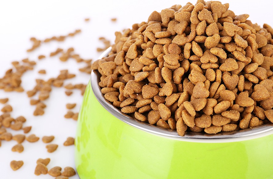 How Important Is Dog Food Shandong Loyal Industrial Co Ltd How Important Is Dog Food Shandong Loyal Industrial Co Ltd